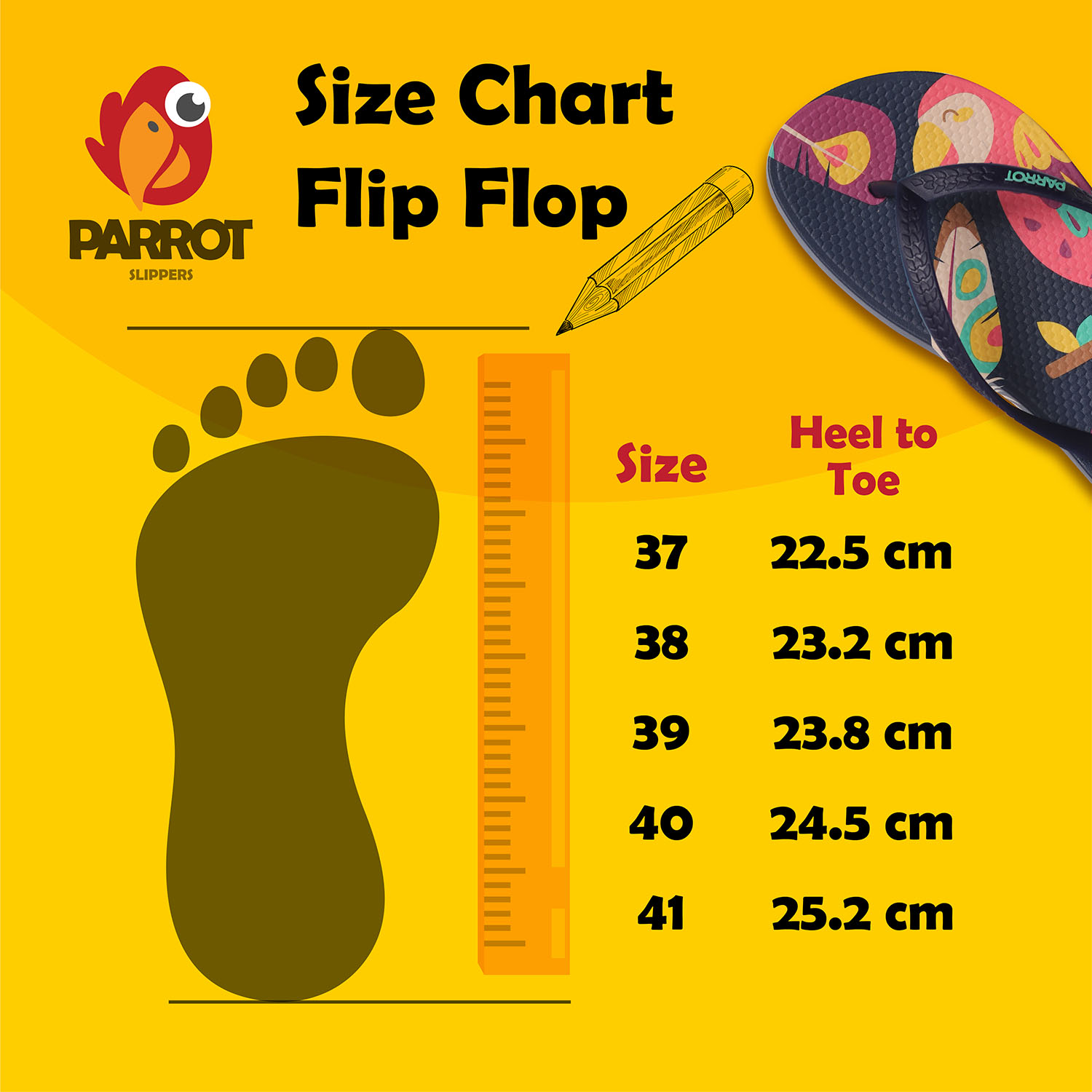 Travel Cyan – Parrot Slippers
