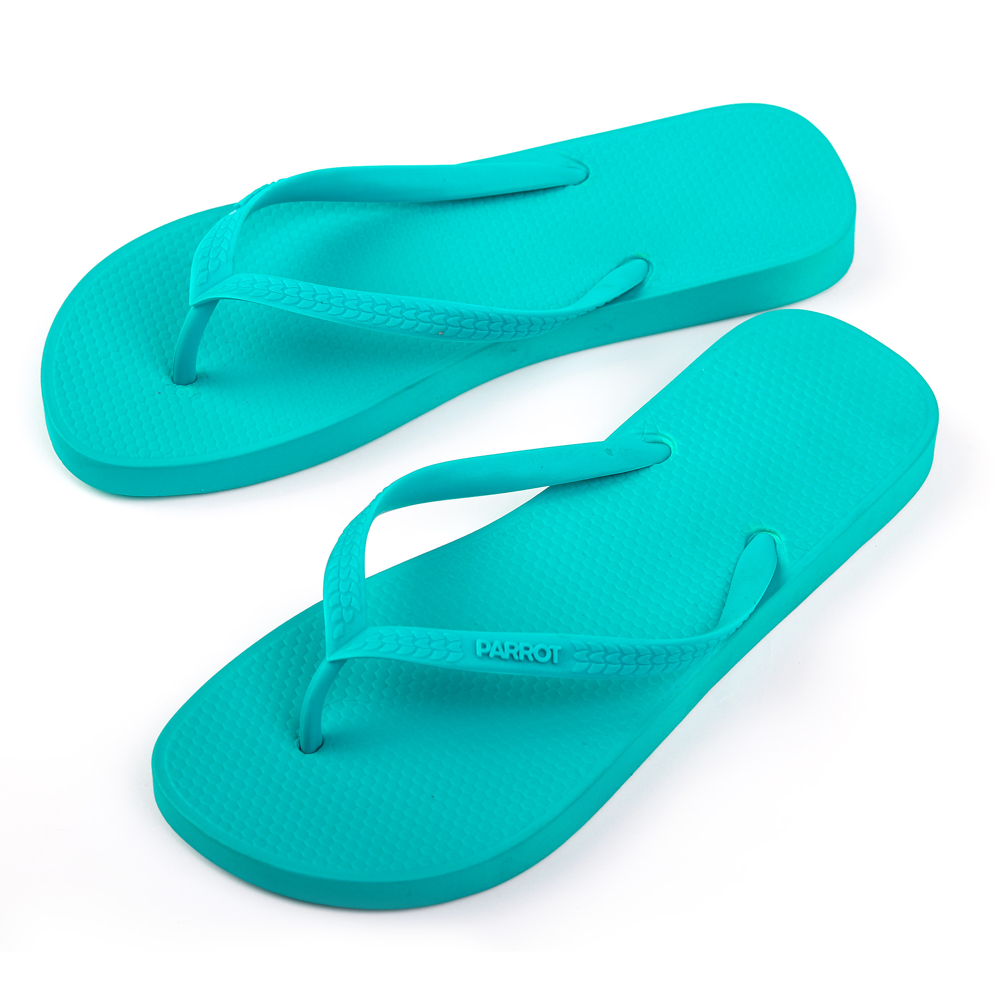 Turquoise Slipper - Parrot Slippers